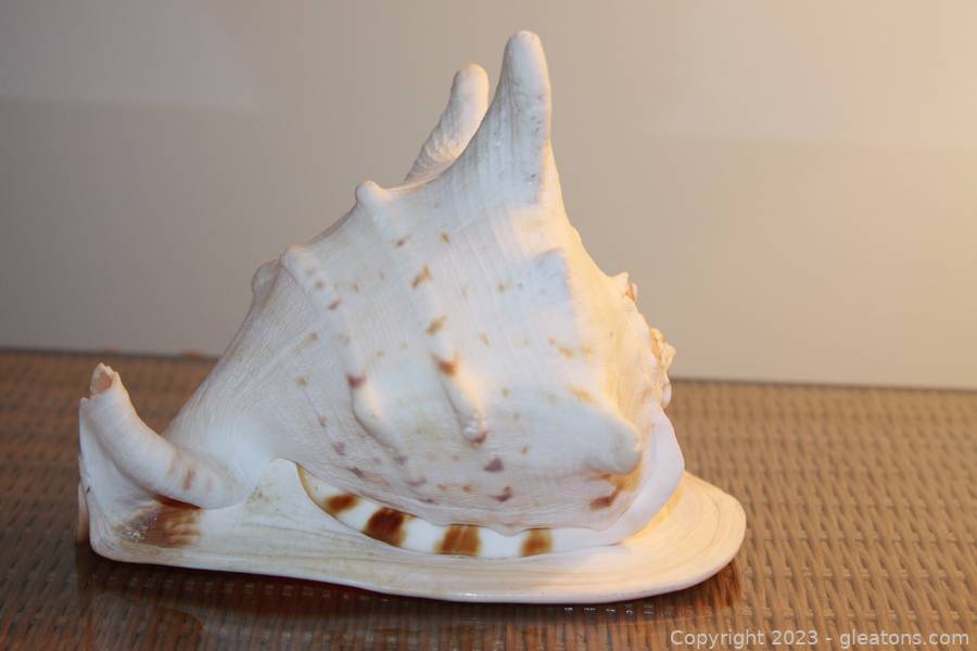 Gleaton's, Metro Atlanta Auction Company, Estate Sale & Business Marketplace - Auction: Boho ...